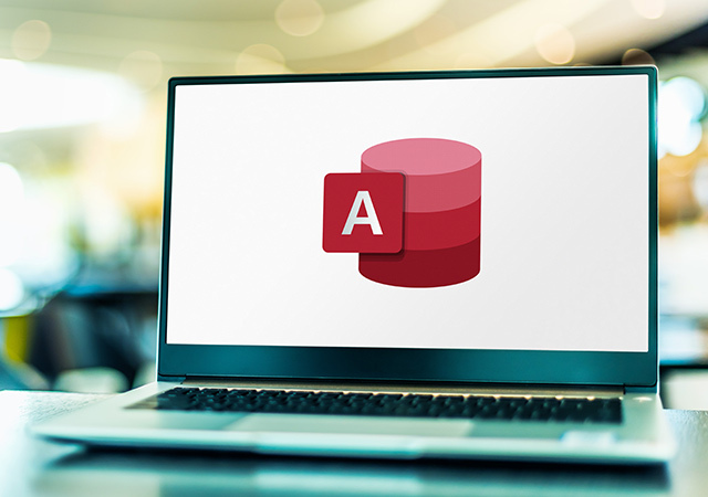 Microsoft Access Databases Forms and Reports | Janets Microsoft Access Databases Forms and Reports | Janets