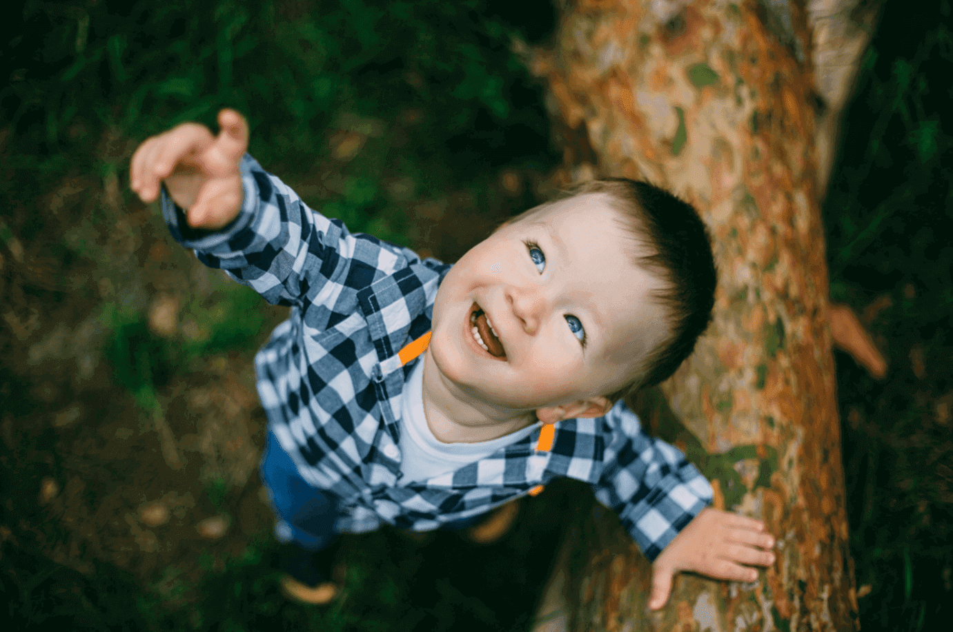 What are the 7 Areas of Learning of the EYFS? | Janets