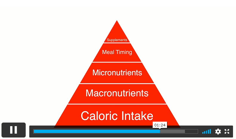 Definitive Sports Nutrition Course | Janets